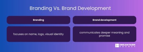 What Is Brand Development? Process, Definition & Strategy