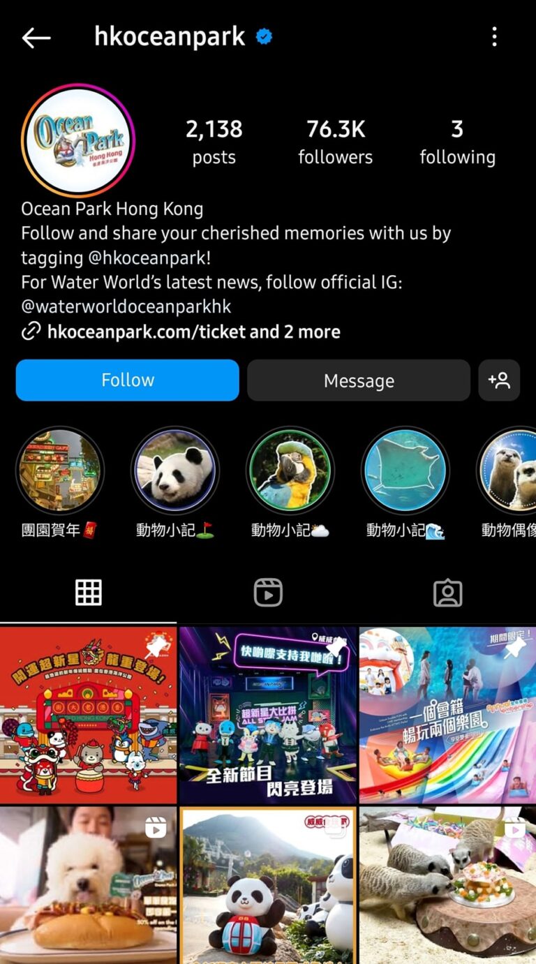 Theme Park Advertising Strategy; 2024 Approaches - Dream Farm Agency